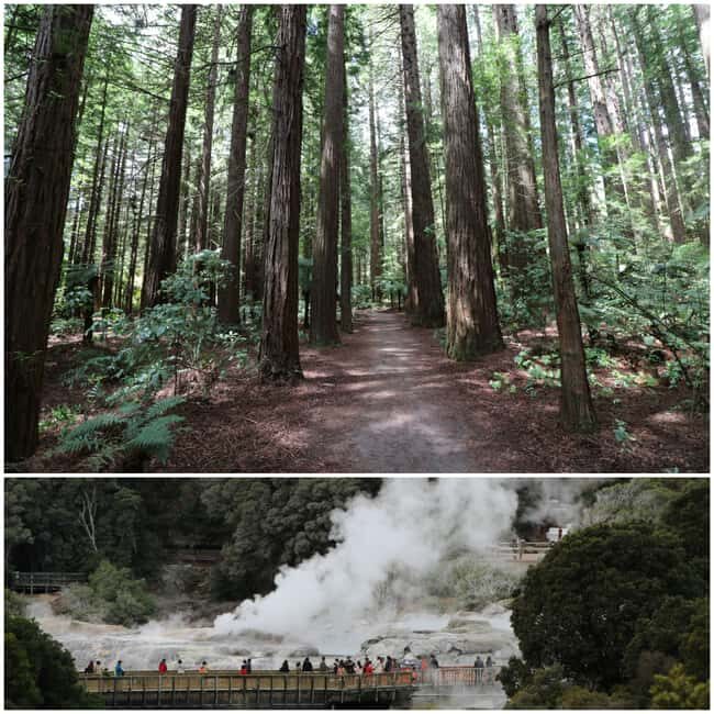 From Auckland: Day Trip to Rotorua with Optional extras - The Itinerary: A Closer Look