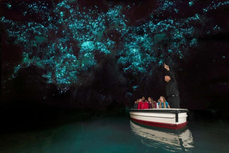 From Auckland: Day Trip to Waitomo Glow Worm Caves - Detailed Breakdown of the Itinerary