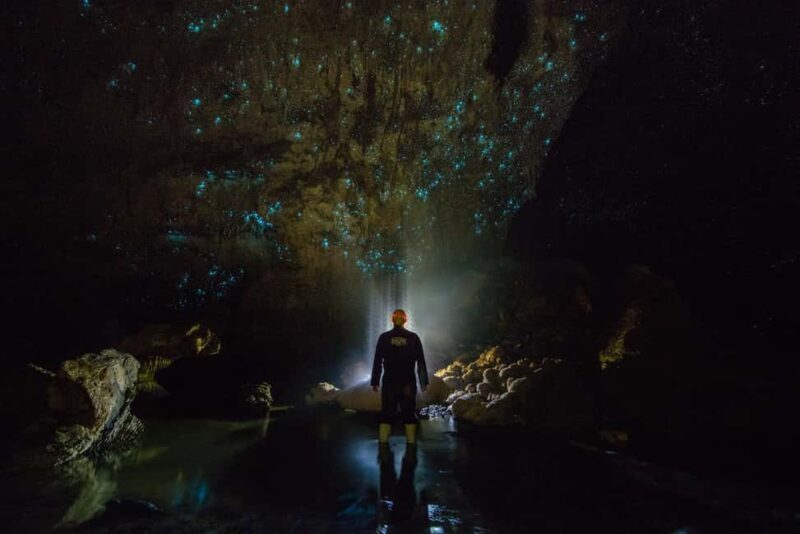 From Auckland: Day Trip to Waitomo Glow Worm Caves - The Sum Up