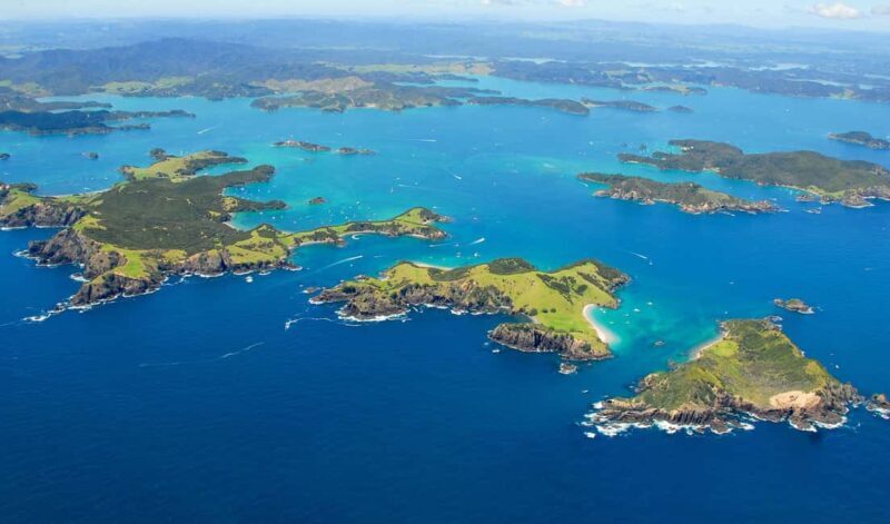 From Auckland: Full Day Private Tour to the Bay of Islands - Start to Finish: What the Tour Looks Like