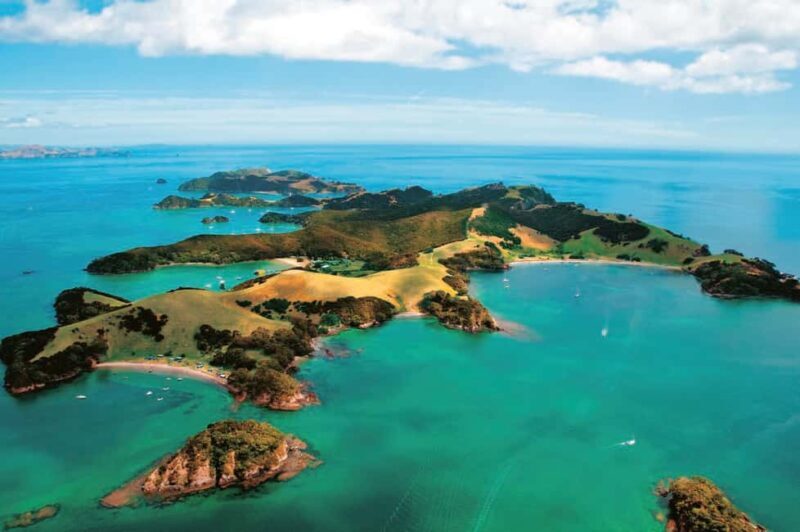 From Auckland: Full Day Private Tour to the Bay of Islands - What’s Included and Why It Matters