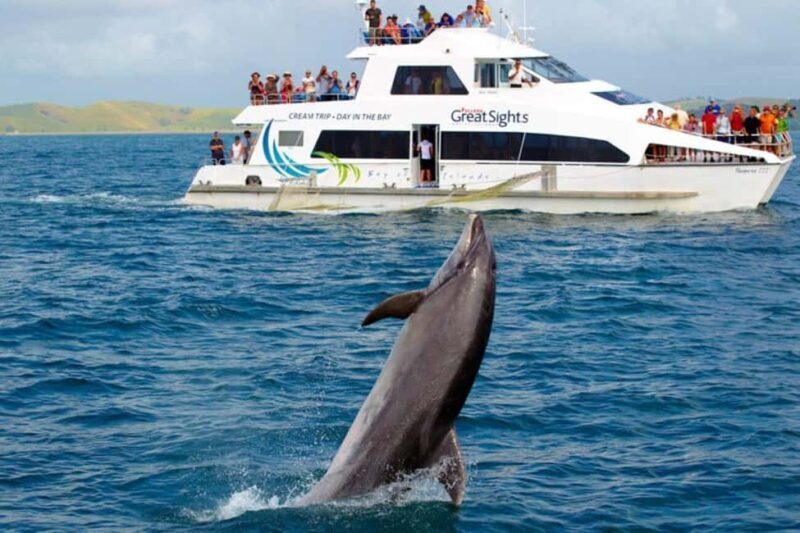 From Auckland: Full-Day Tour to the Bay of Islands - Analyzing Value and Practicalities