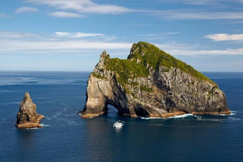 From Auckland: Full-Day Tour to the Bay of Islands - Final Thoughts: Who Should Consider This Tour?
