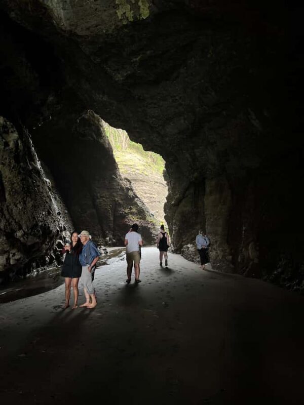From Auckland: Guided Tour of Piha with Scenic Beach Walks - An In-Depth Look at the Piha Day Trip
