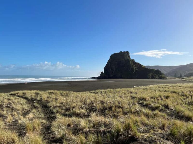From Auckland: Guided Tour of Piha with Scenic Beach Walks - Authentic Experiences and Highlights