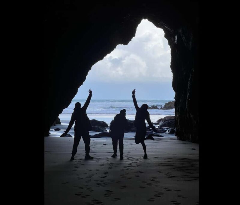 From Auckland: Guided Tour of Piha with Scenic Beach Walks - Who is This Tour Best For?