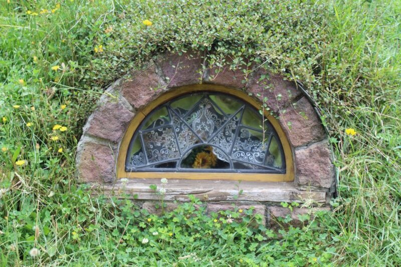 From Auckland: Hobbiton Afternoon Tour - Introduction