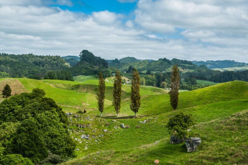 From Auckland: Hobbiton and Waitomo Day Tour with Lunch - An In-Depth Look at the Experience