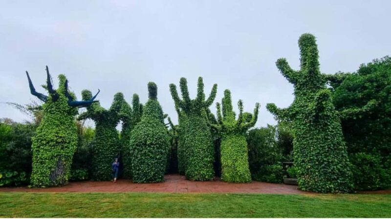 From Auckland: Hobbiton & Hamilton Gardens Small Group Tour - An Introduction to the Experience