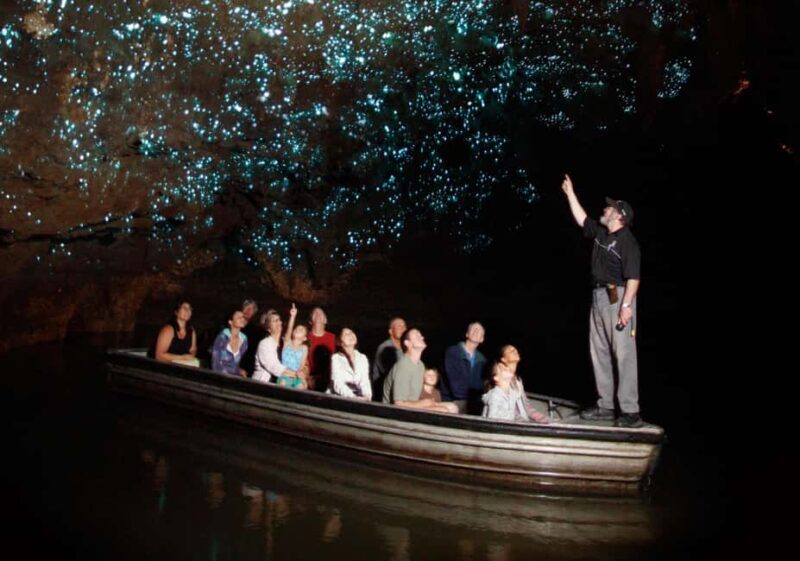 From Auckland: Hobbiton Movie Set and Waitomo Caves Tour - Pickup and Scenic Drive to Waikato