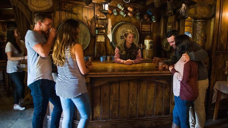 From Auckland: Hobbiton Movie Set Small Group Tour - Transportation and Comfort