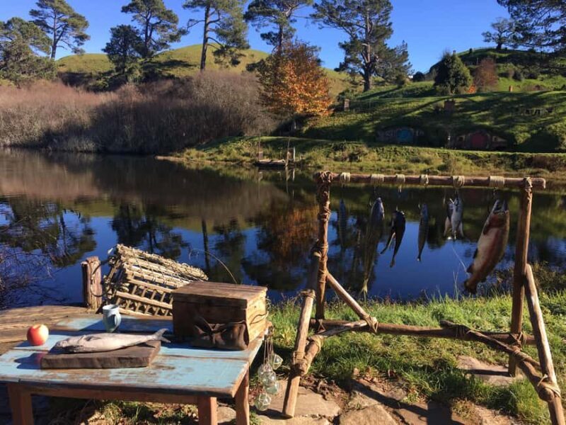 From Auckland: Hobbiton Private Transfers with Group Tour - The Itinerary: What to Expect from Start to Finish