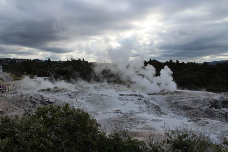 From Auckland: Hobbiton & Rotorua Tour with Lunch at Te Puia - Starting the Day: Smooth Pick-up and Transportation