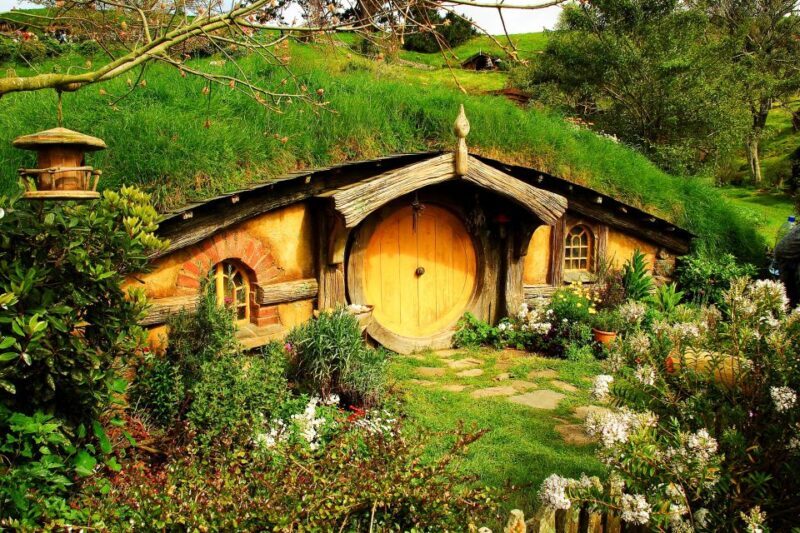From Auckland: Hobbiton & Rotorua Tour with Lunch at Te Puia - Optional Extras and Free Time