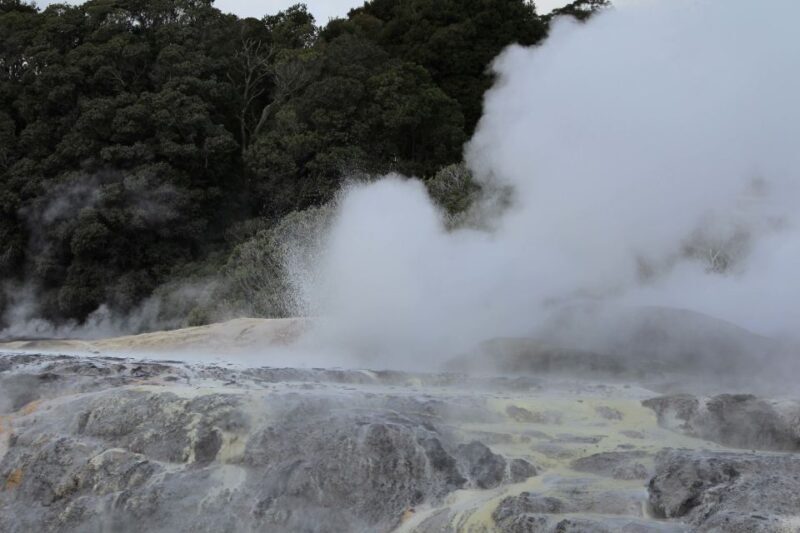 From Auckland: Hobbiton & Rotorua Tour with Lunch at Te Puia - Practical Tips for Travelers