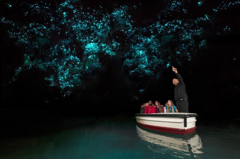 From Auckland: Hobbiton & Waitomo Caves Day Trip with Lunch - The Itinerary and What It Means for You