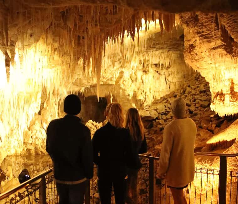 From Auckland: Hobbiton & Waitomo Caves Full-Day Trip - The Overall Value & Who Will Enjoy This Trip