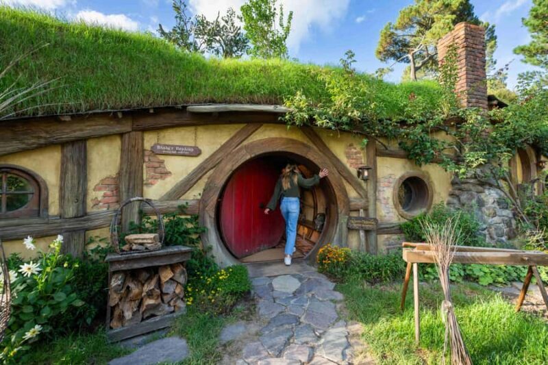 From Auckland: Hobbiton, Waitomo Caves & Kiwi House Tour - Assessing the Value and Practicalities
