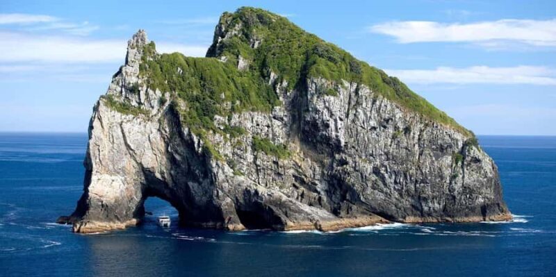 From Auckland: Hole in the rock cruise tour - An Authentic Look at the Hole in the Rock Tour