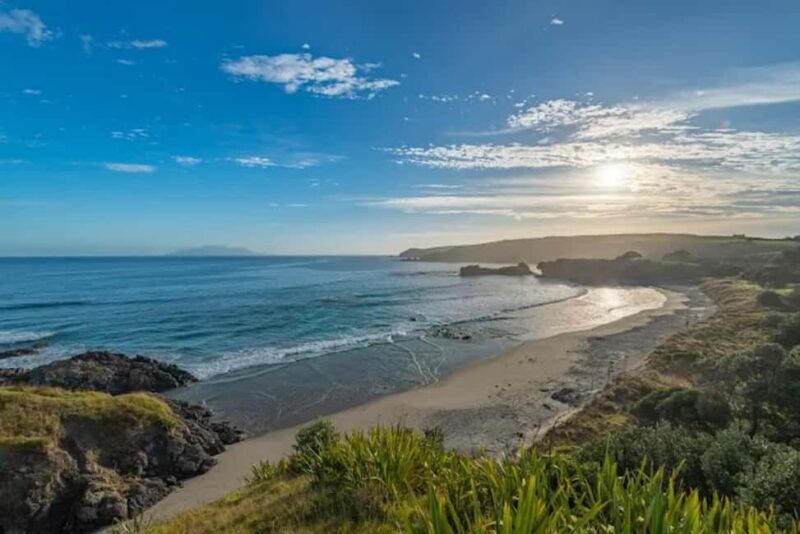 From Auckland: Kiwi Bird Encounter & 3-Course Dinner Tour - An In-Depth Look at This Kiwi & Cuisine Experience