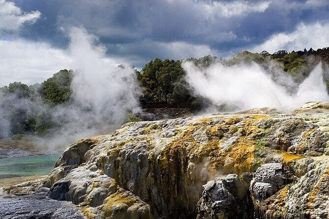 From Auckland: Rotorua Mori Village & Hot Springs with Haka - What Makes This Tour Special?