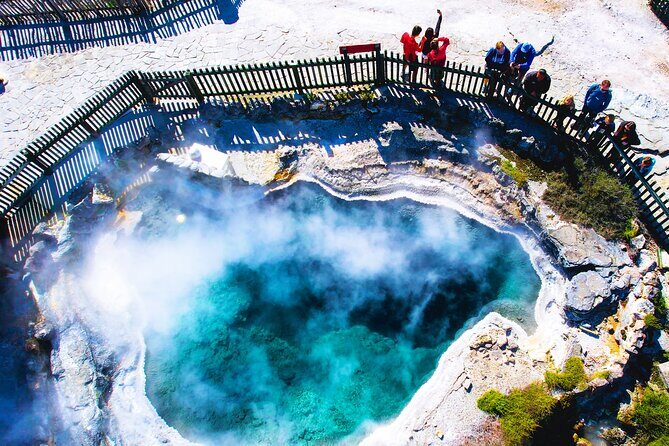 From Auckland: Rotorua Mori Village & Hot Springs with Haka - What Travelers Say: Authentic Feedback