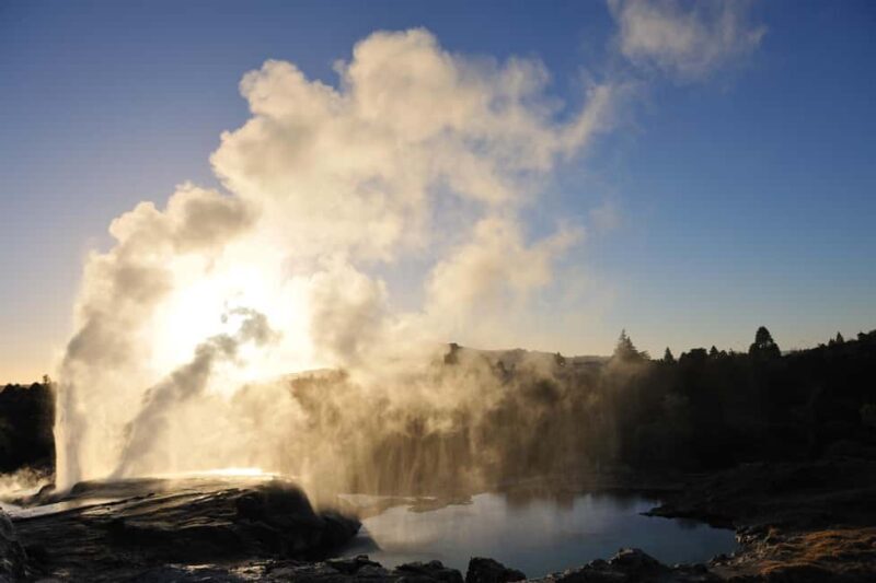From Auckland: Rotorua Te Puia, Haka & Polynesian Spa Tour - Key Points