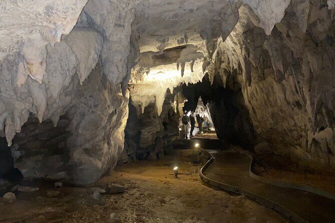 From Auckland : Spellbound Glow Worm Twin Caves Private Tour - Who Should Consider This Tour?