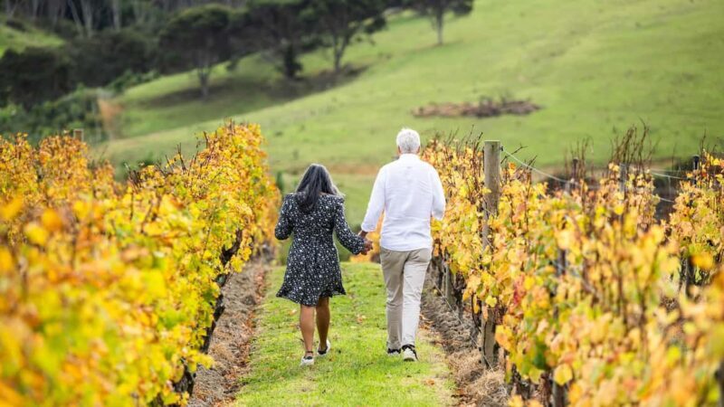 From Auckland: Taste Of Waiheke Island Day Tour - Considerations and Potential Drawbacks