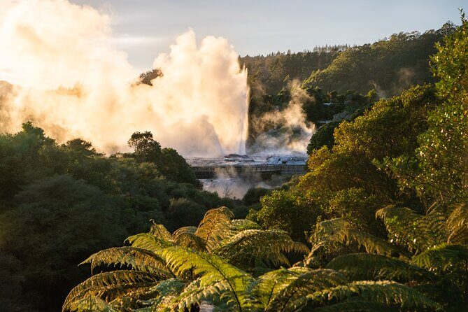 From Auckland: Te Puia Rotorua and Activity Combinations - Return to Auckland