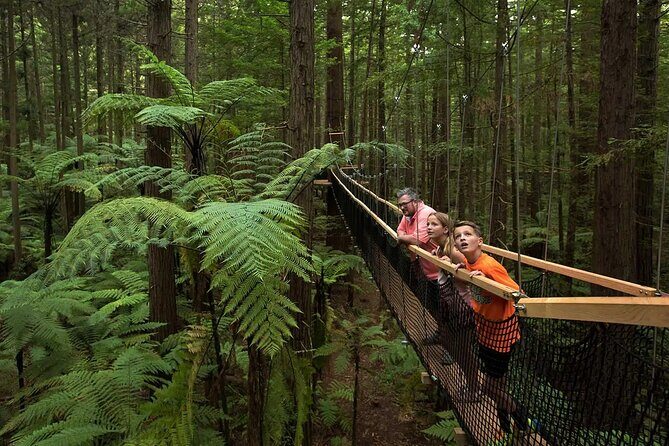 From Auckland to Rotorua Waiotapu and Activity Combinations - An Honest Breakdown of the Experience