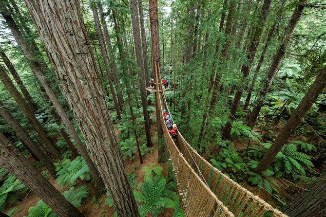From Auckland Wai Ariki and Rotorua Redwoods Small Group Tour - Who Will Appreciate This Tour?