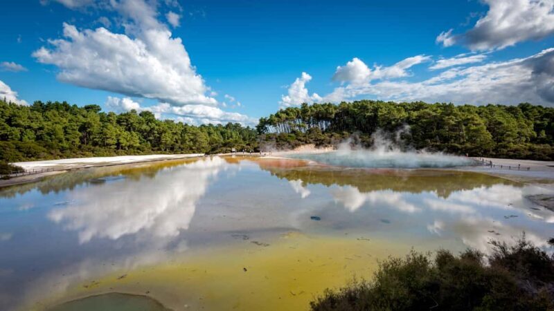 From Auckland: Wai-O-Tapu & Polynesian Spa Rotorua Day Tour - Exploring the From Auckland: Wai-O-Tapu & Polynesian Spa Rotorua Day Tour