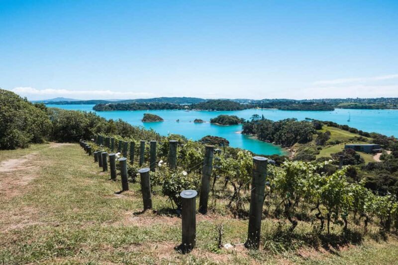 From Auckland: Waiheke Island Sip & Savour Tour with Lunch - Wrapping It Up: Who Should Consider This Tour?