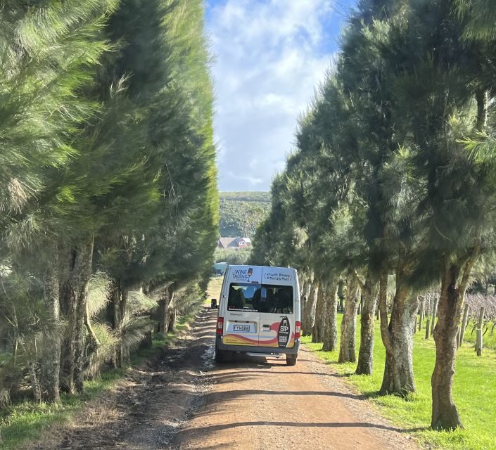 From Auckland: Waiheke Island Wine Cellar Tour - Key Points