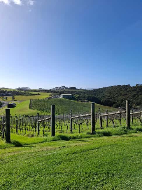 From Auckland: Waiheke Island Wine Cellar Tour - FAQ