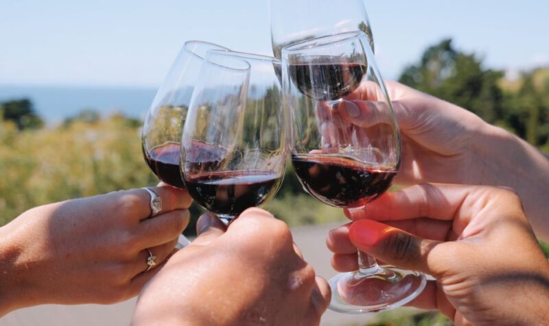 From Auckland: Waiheke Island Wine Cellar Tour - The Sum Up