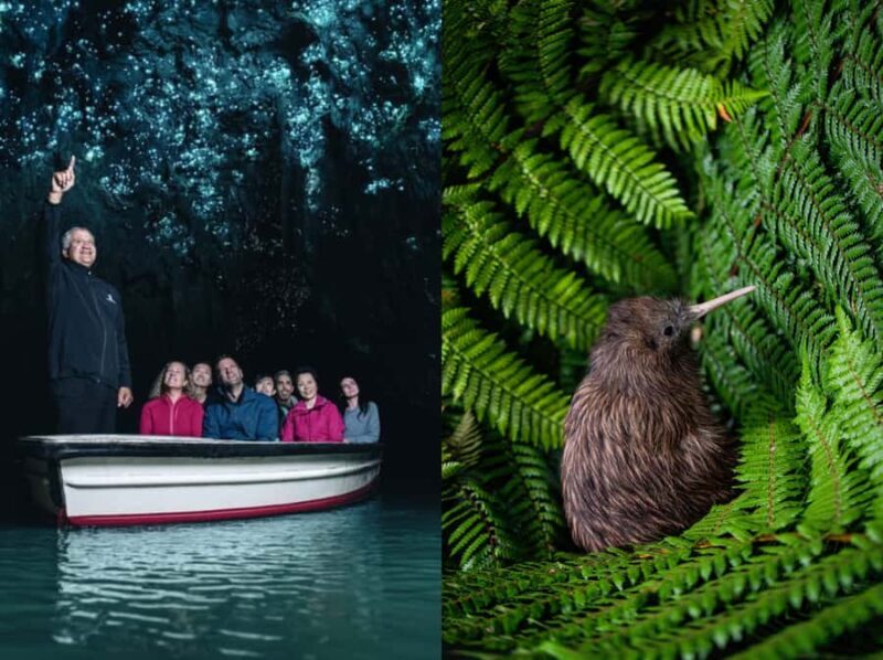 From Auckland: Waitomo Caves and Kiwi House Group Tour - The Experience: A Closer Look at the Tour Itinerary