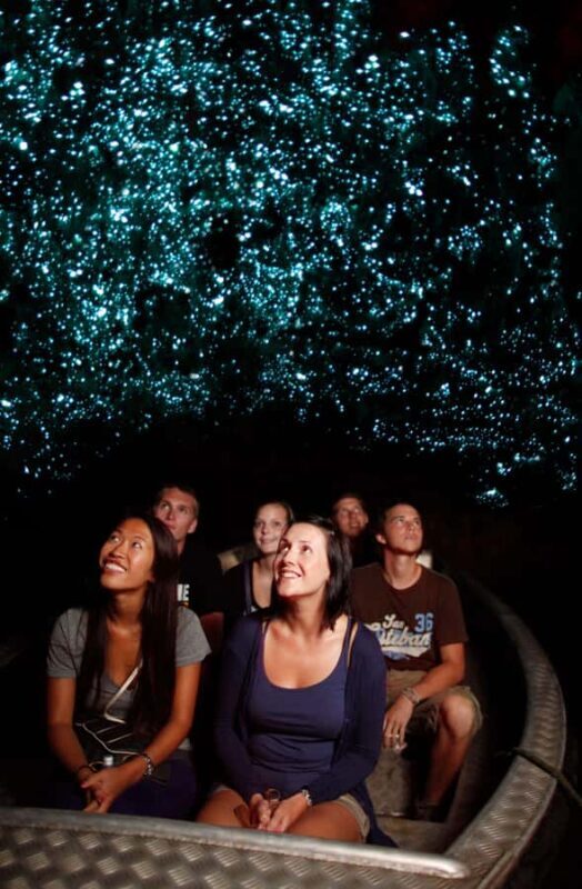 From Auckland: Waitomo Caves and Kiwi House Group Tour - How It Compares to Similar Tours