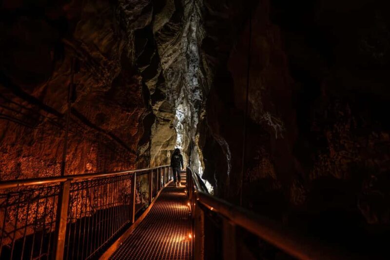 From Auckland: Waitomo Caves and Kiwi House Group Tour - Introduction