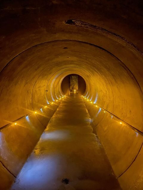 From Auckland: Waitomo Caves and Kiwi House Group Tour - The Sum Up