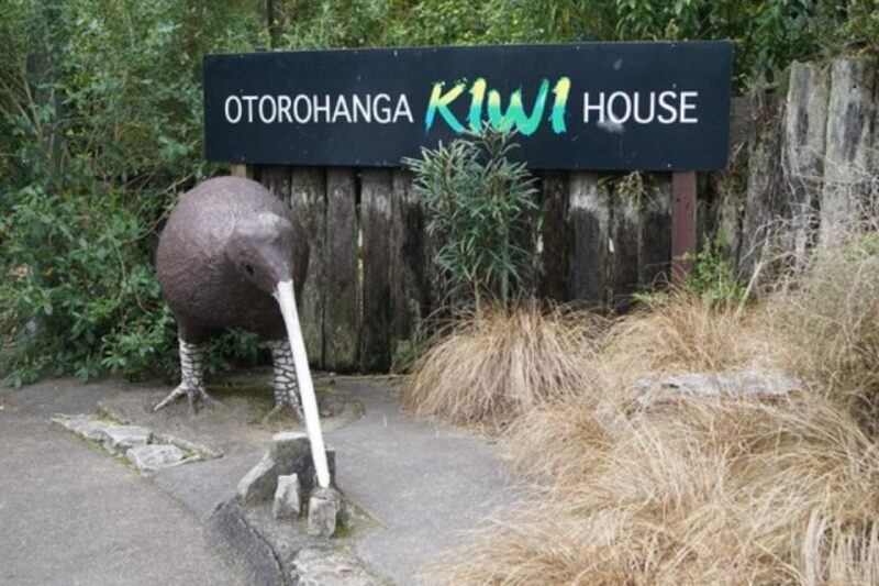 From Auckland: Waitomo Caves and Kiwi House Group Tour - FAQ