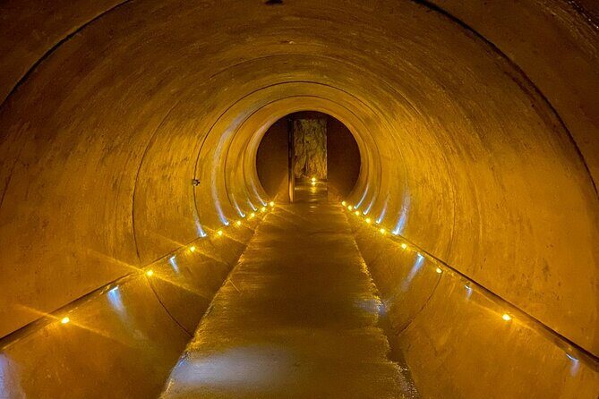 From Auckland: Waitomo Caves and Kiwi House Small Group Tour - What to Expect from the Tour