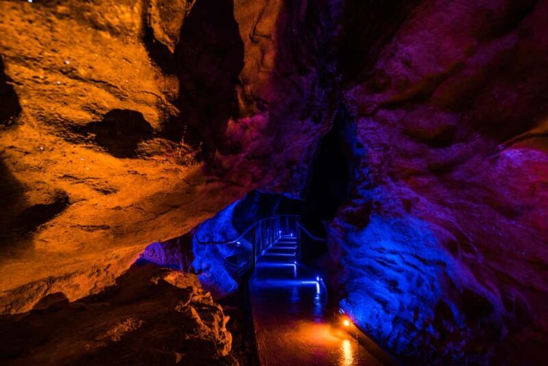 From Auckland: Waitomo Glowworm and Ruakuri Caves Day Tour - Key Points