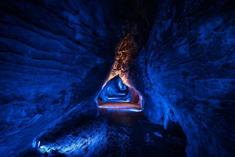From Auckland: Waitomo Glowworm and Ruakuri Caves Day Tour - Costs and Value