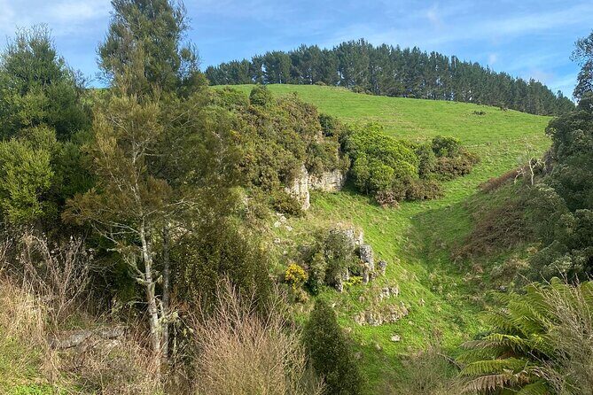 From Auckland: Waitomo Glowworm & Cave Explorer Small Group Tour - Considerations