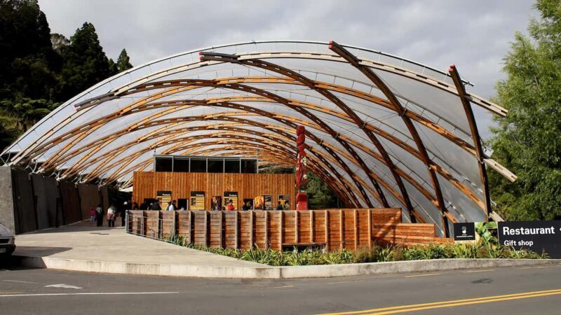 From Auckland: Waitomo Glowworm Cave Tour - Smooth Transportation & Comfortable Start