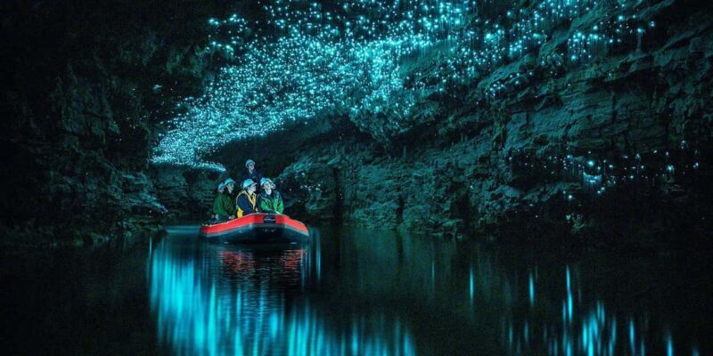 From Auckland: Waitomo Glowworm Cave Tour - Entering the Enchanting Glowworm Cave