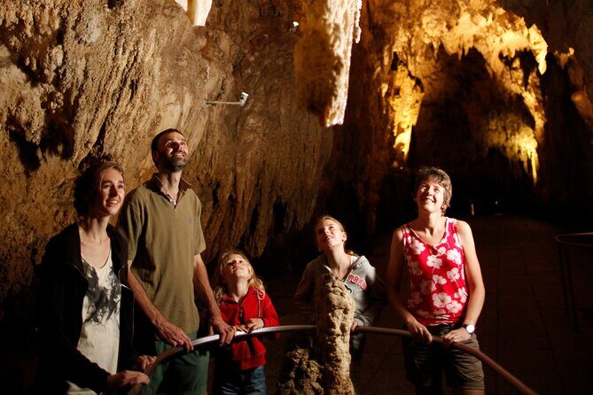 From Auckland:Hobbiton Movie Set & Waitomo Caves Small Group Tour - A Well-Planned Itinerary to Maximize the Experience