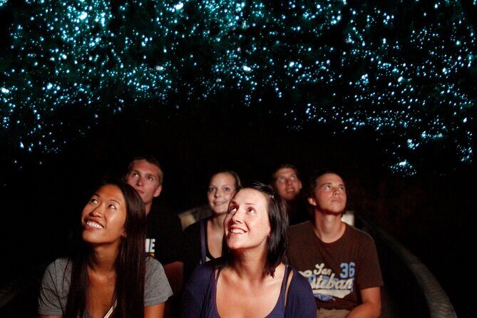 From Auckland:Hobbiton Movie Set & Waitomo Caves Small Group Tour - Practical Tips for Travelers